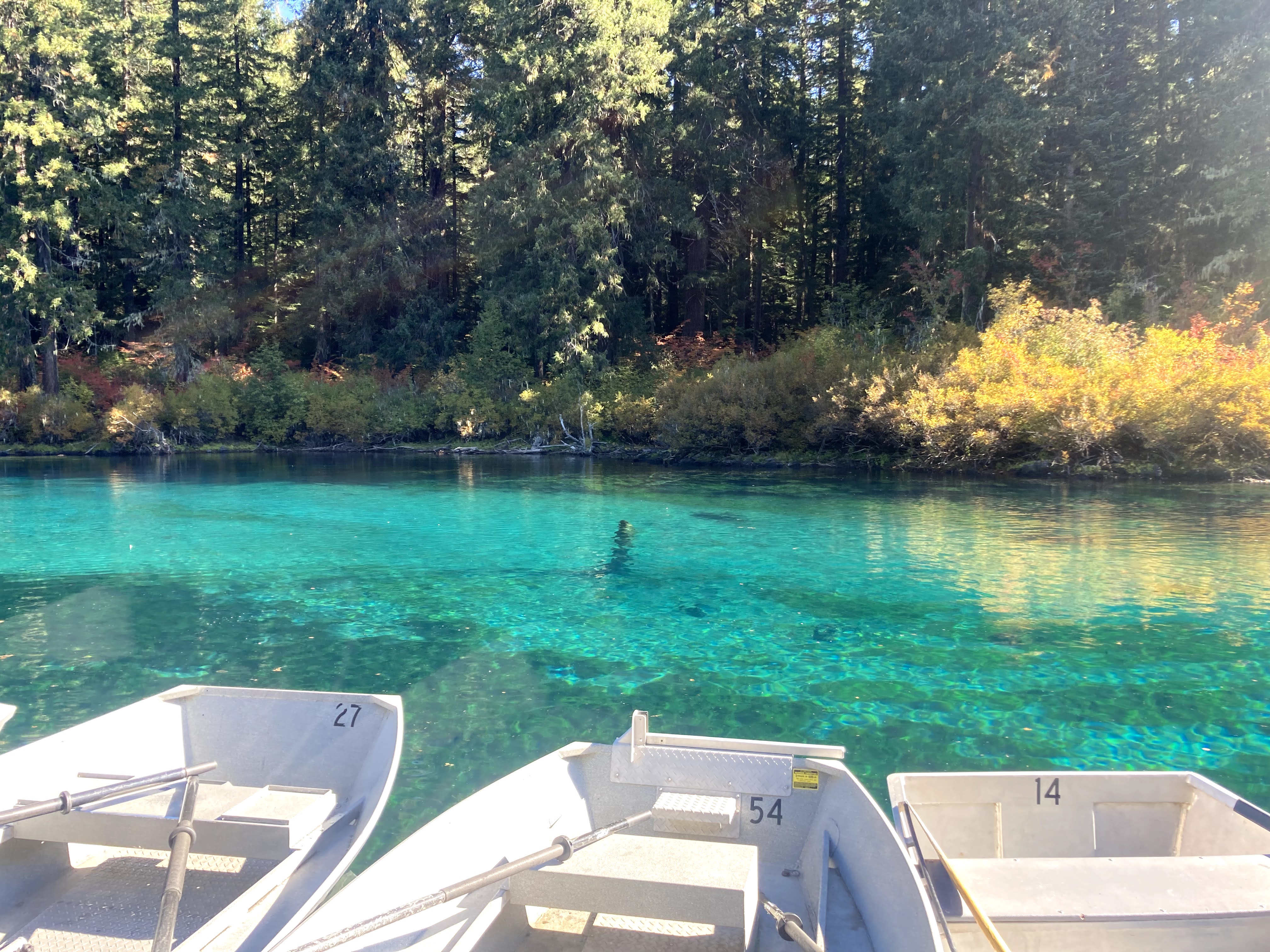 Clear Lake (Linn County)