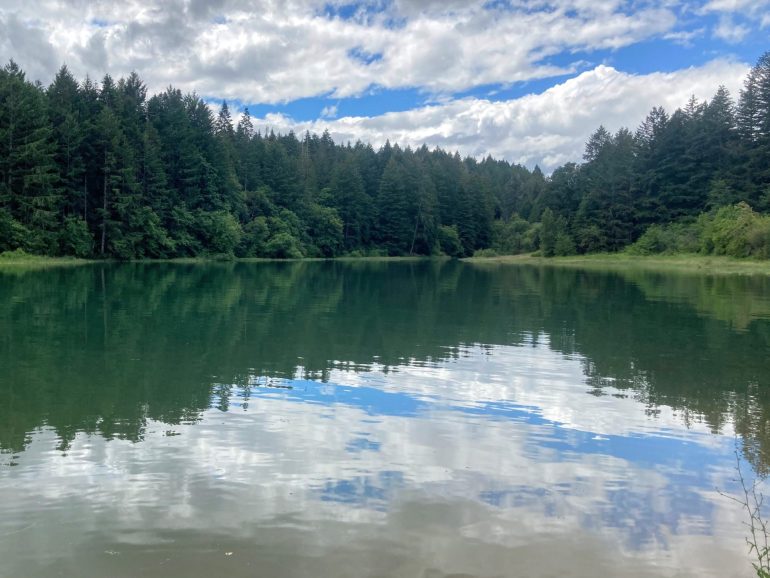 Henry Hagg Lake Oregon Paddling