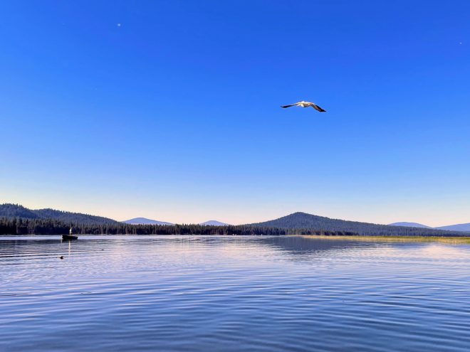 Crane Prairie Reservoir – Oregon Paddling